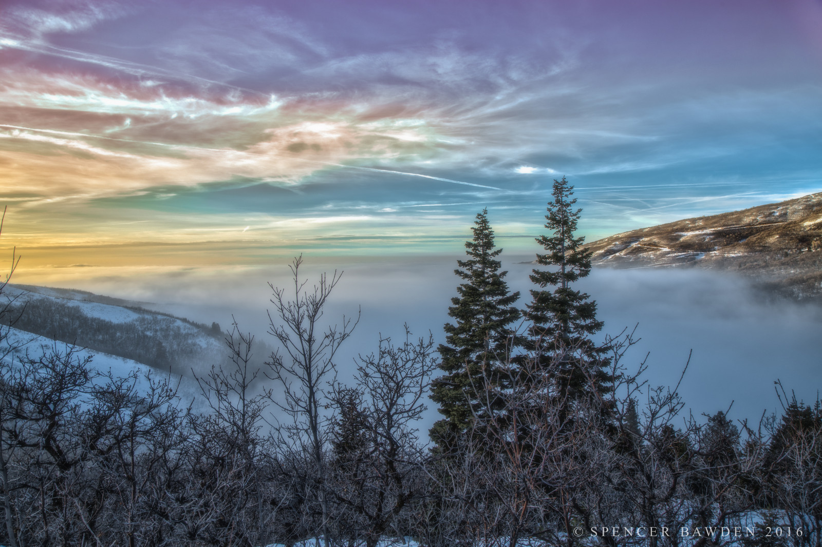 Tapety : nebe, Příroda, zima, mrak, divočina, zmrazení, sníh, strom ...