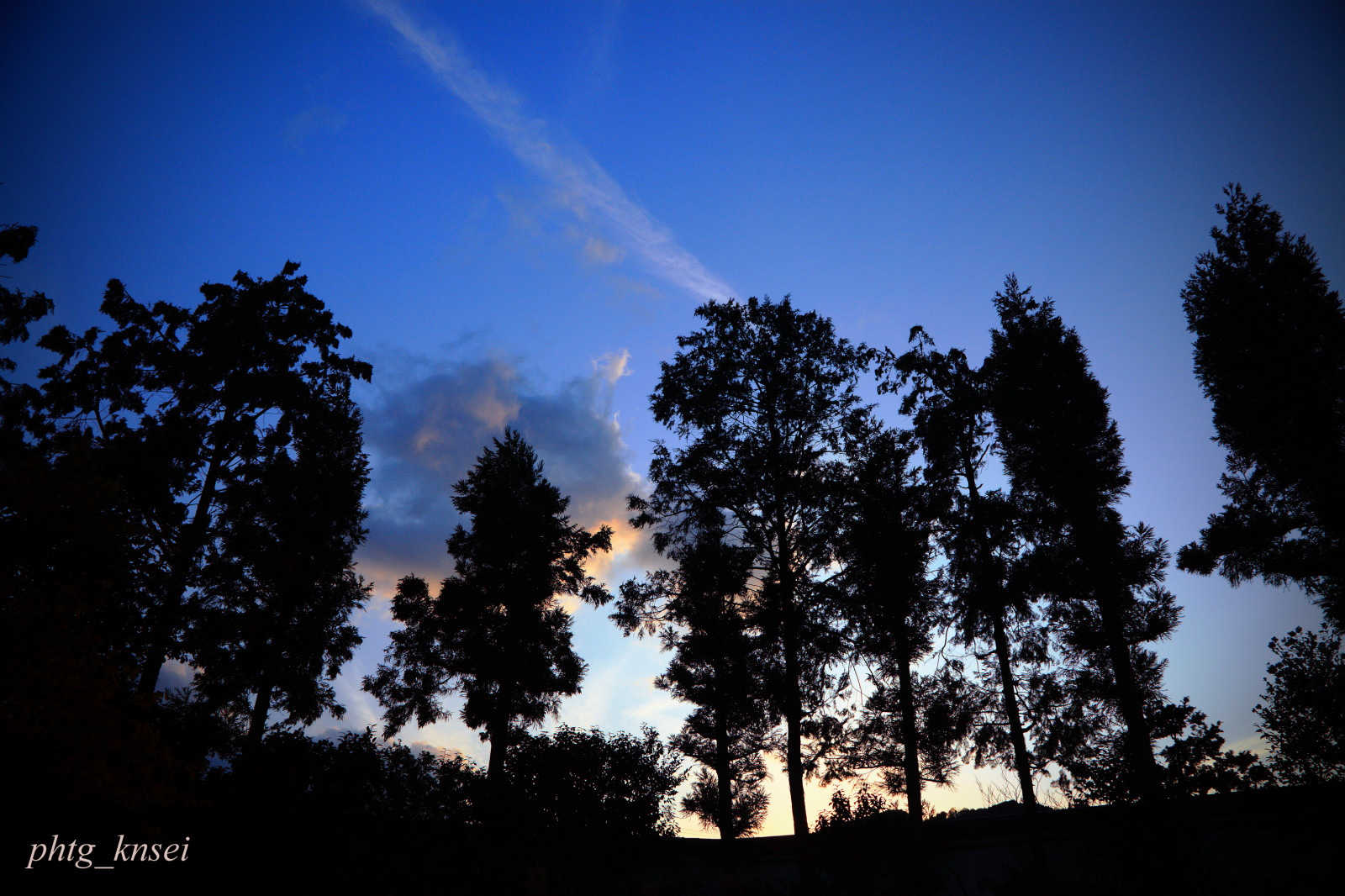Wallpaper Sky Cloud Nature Tree Woody Plant Atmosphere Of Earth