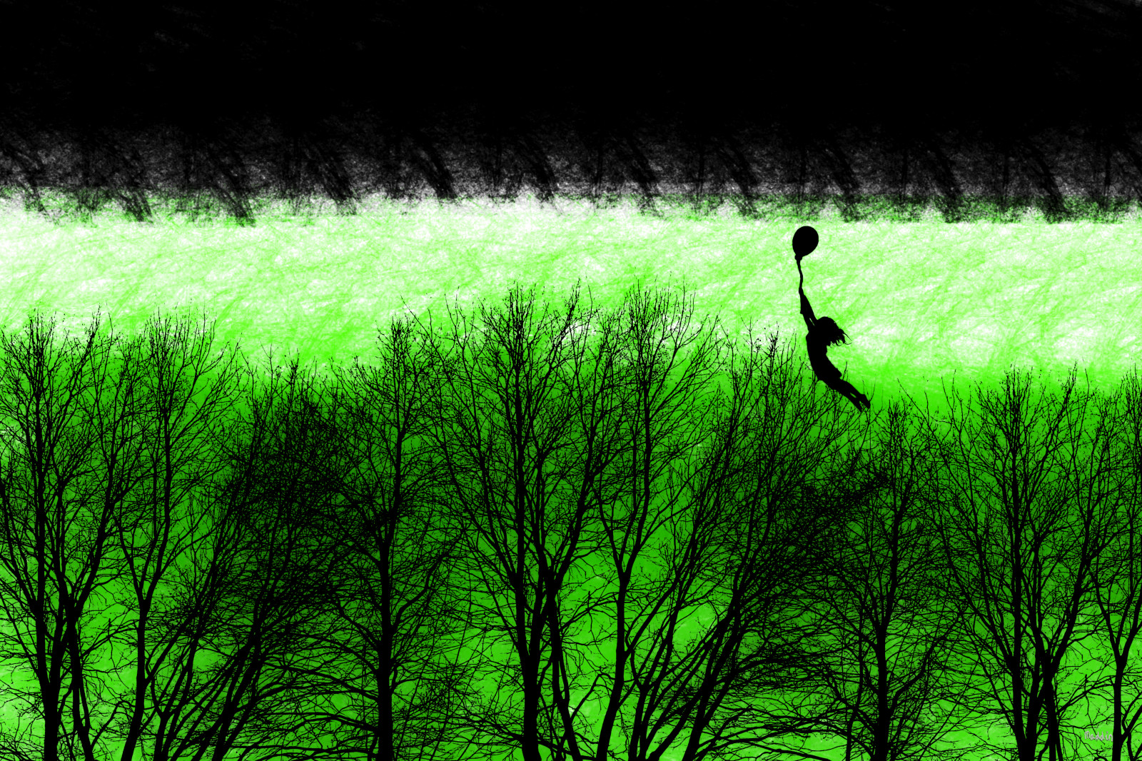 Wallpaper : sunlight, landscape, forest, Photoshop, nature, sky, field ...