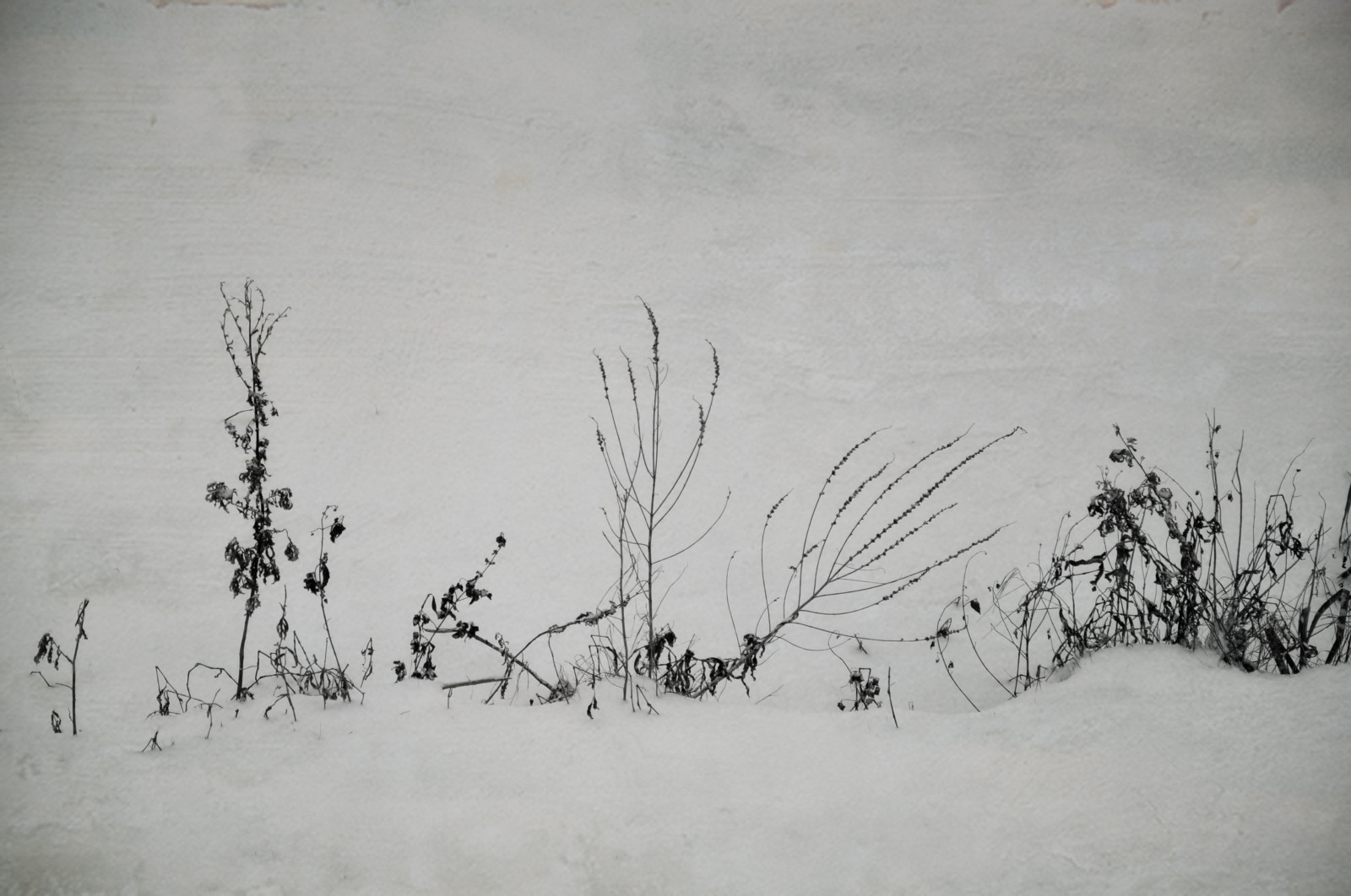 Baggrunde : tegning, hvid, sort, monokrom, minimalisme, sne, vinter ...