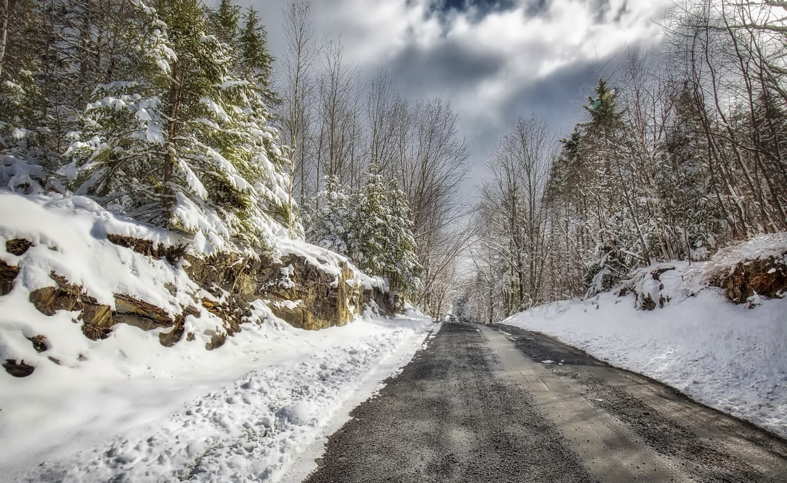 Wallpaper : pohon, jalan, salju, musim dingin, di luar rumah 2048x1256 ...