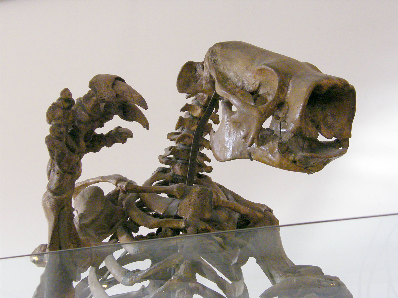 배경 화면 : 괴물, 해골, 외계인, 뼈 2903x2177 - - 942766 - 배경 화면 - WallHere