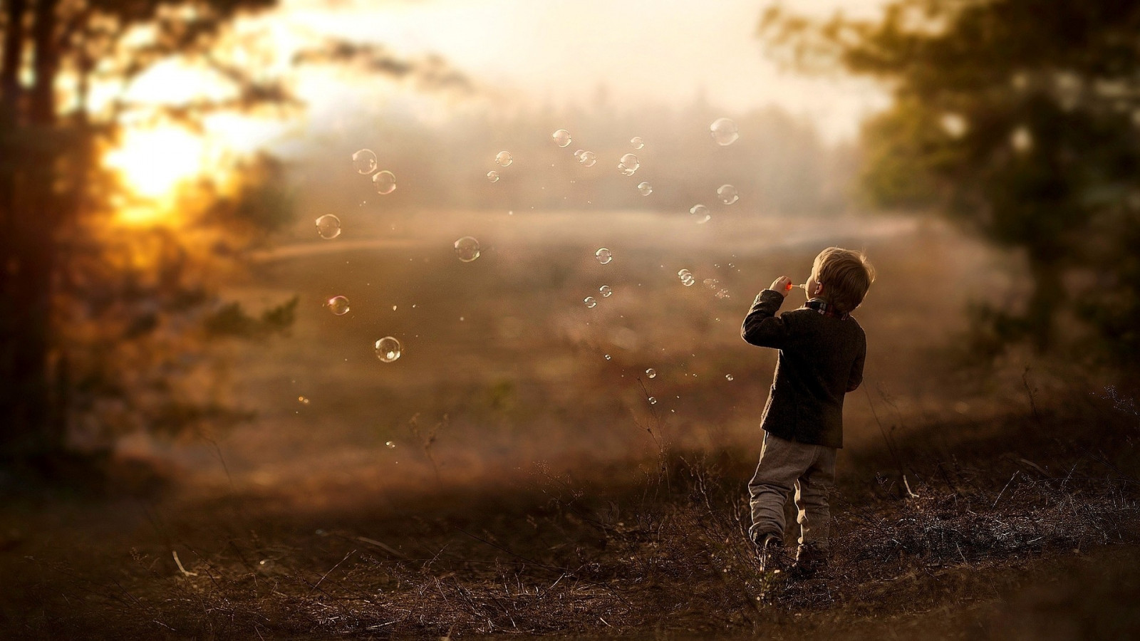 Wallpaper : sunlight, depth of field, sunset, children, nature ...