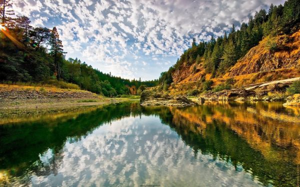 Wallpaper Landscape Forest Lake Nature Reflection River Valley