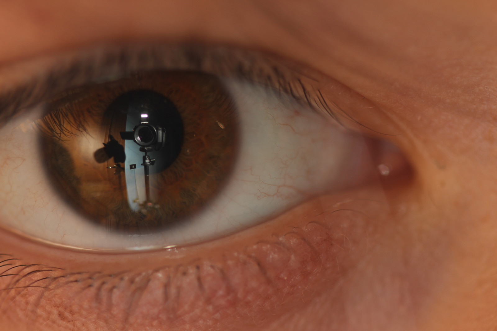 Wallpaper : reflection, camera, Canon, Iris, lip, eyebrow, organ, close ...