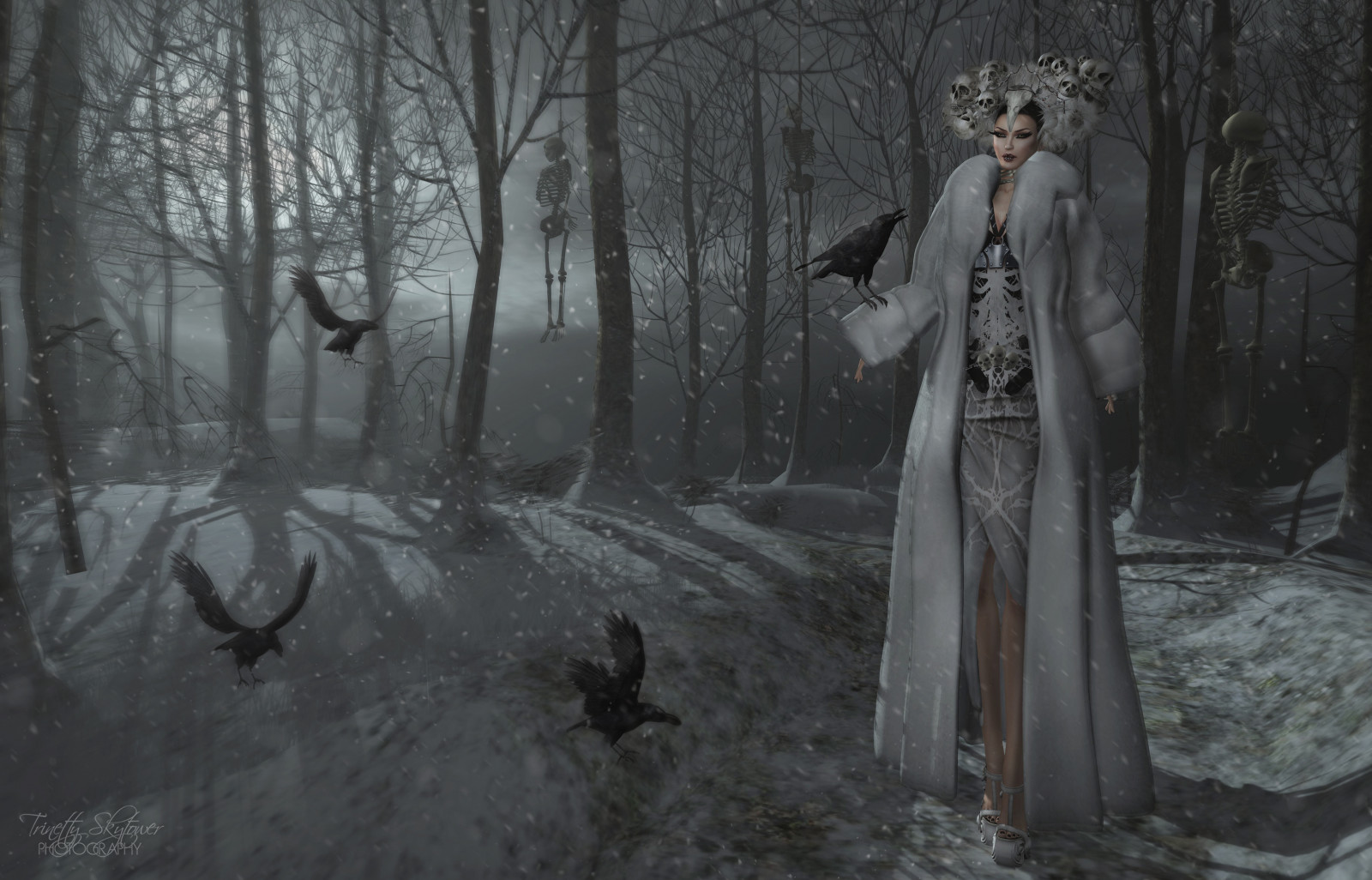 Wallpaper : forest, white, horror, snow, winter, photography, cold ...