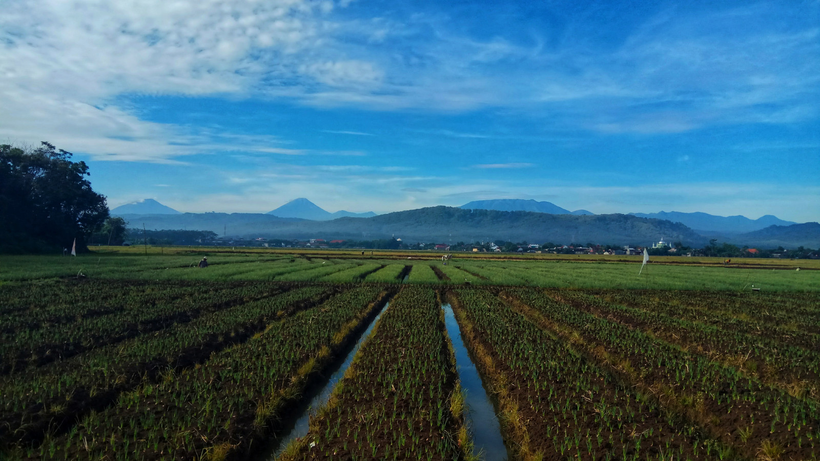 Wallpaper : scrap metal, landscape, field atmosphere 4208x2368 - hanif ...