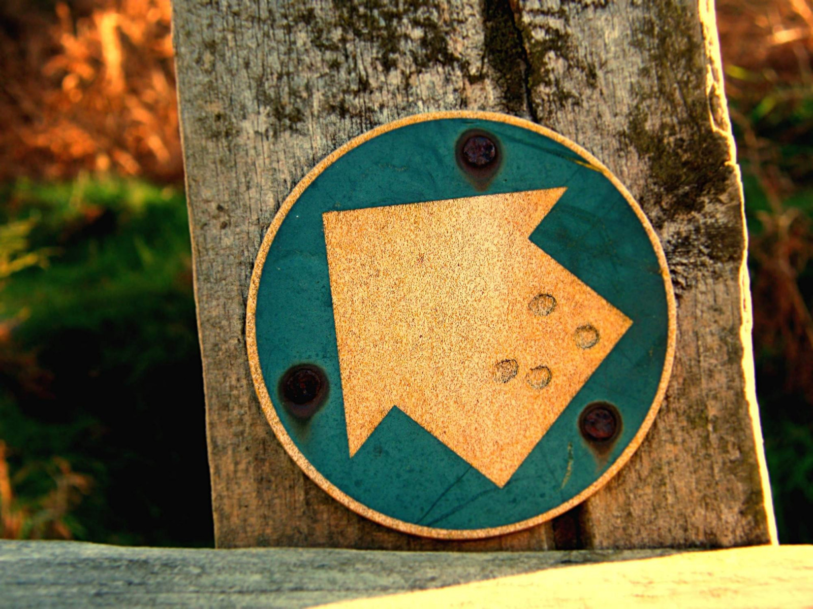 Wallpaper Wood Green Blue Signs Circle Arrows Color Autumn Wallpaper Wood Green Blue Signs Circle Arrows Color Autumn