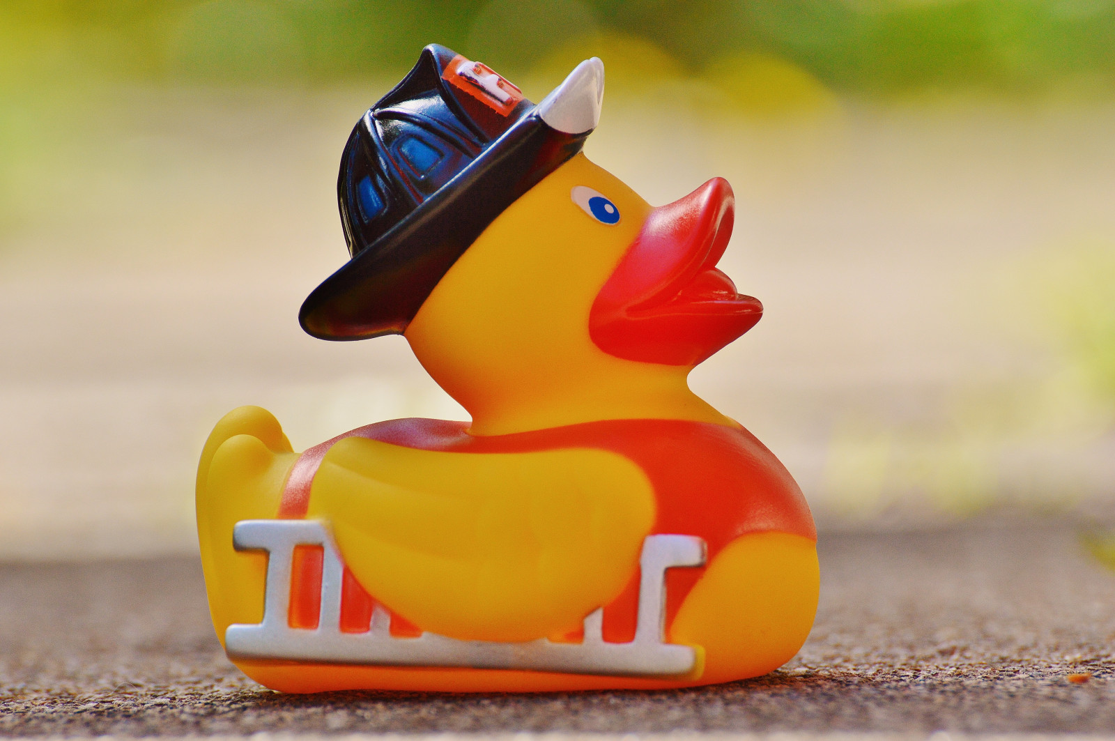 Wallpaper : rubber duck, Toy 6016x4000 - wallup - 992259 - HD ...