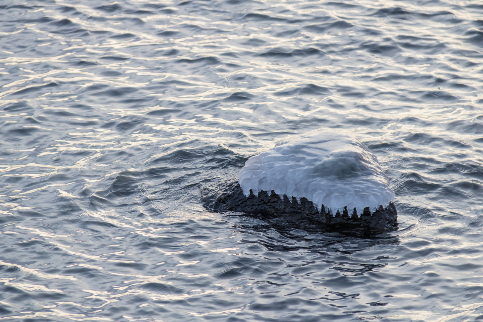 Imagini de fundal : mare, apă, iarnă, gheaţă, coastă, este, ocean, val ...