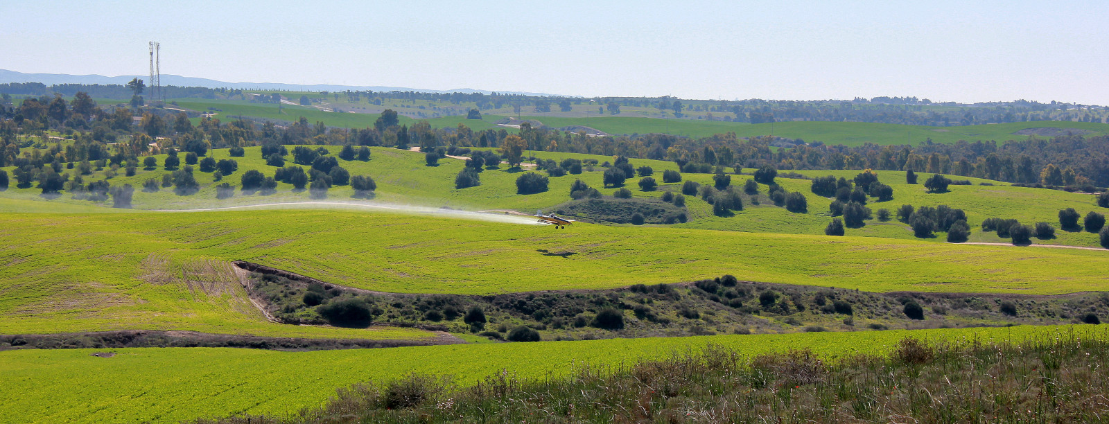 Wallpaper : Israel, field, landscape, panorama, plane, green 5184x1984 ...