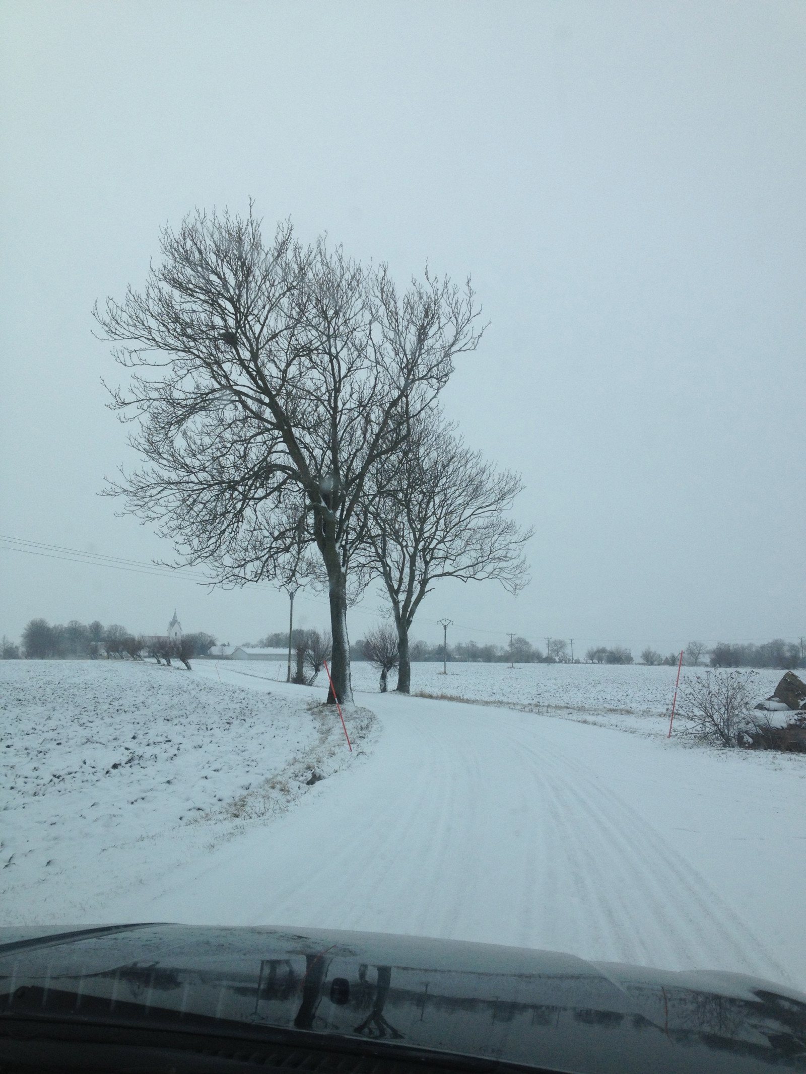 Tapety : krajina, sníh, zima, větev, ráno, mráz, zmrazení, strom ...