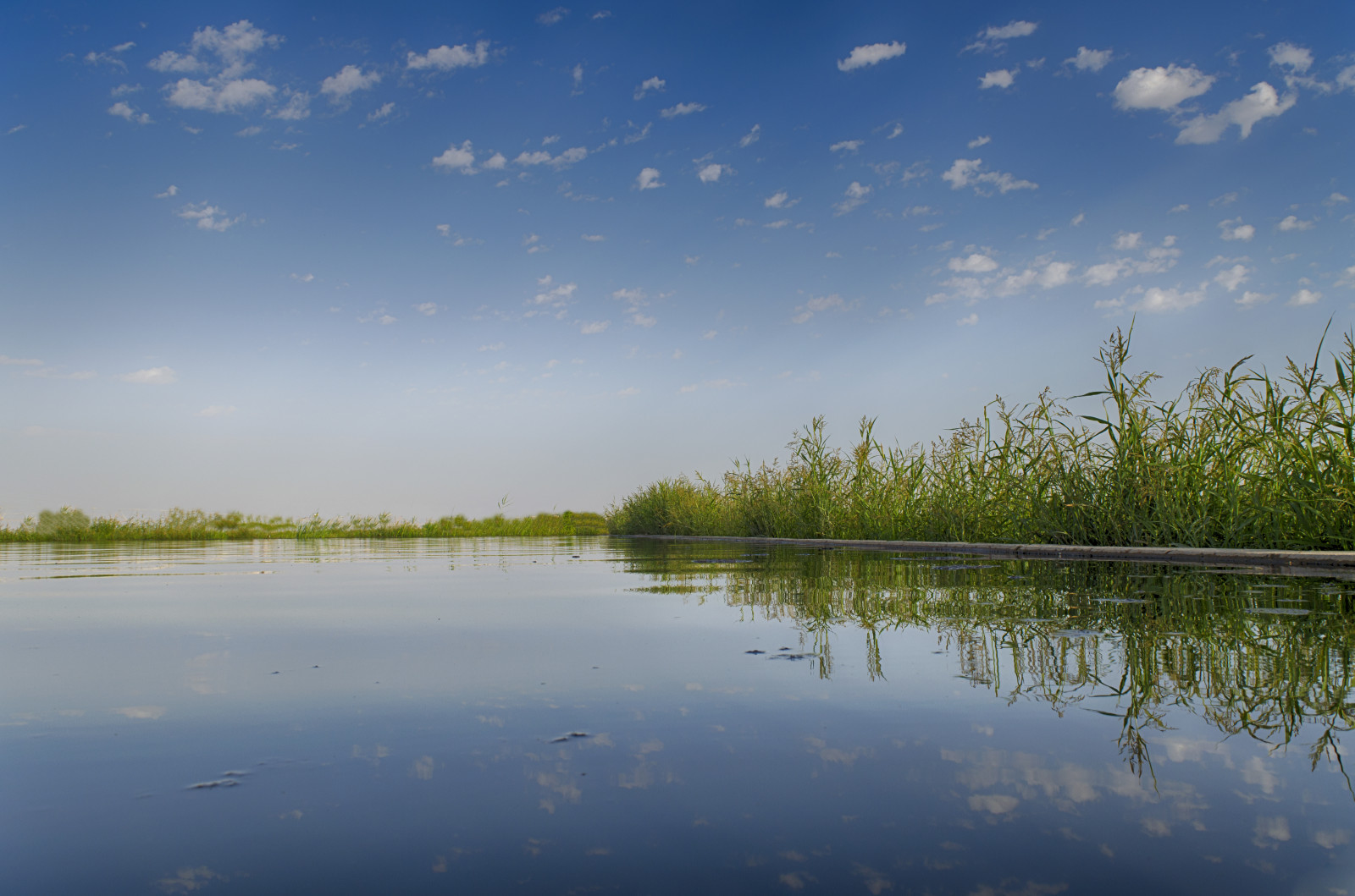 Obrázky na plochu : odraz, voda, neba, príroda, vodné zdroje, mokraďové ...