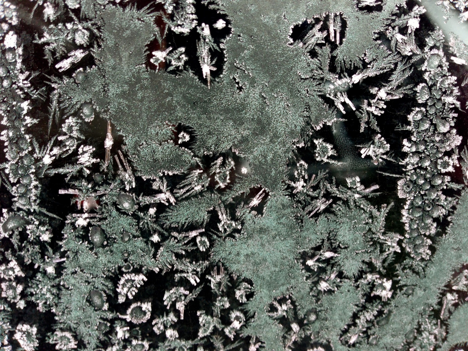 Wallpaper : winter, square, vinter, frost, pattern, Sweden, outdoor ...