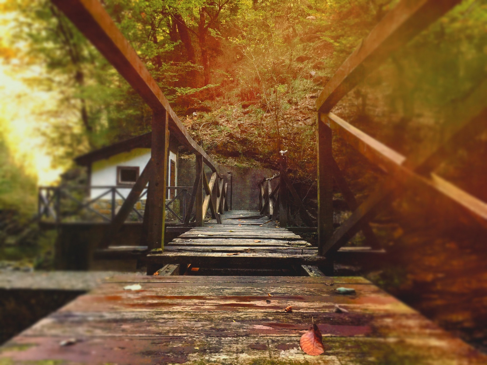 Achtergronden : zonlicht, landschap, Bos, natuur, huis, ochtend-, brug ...