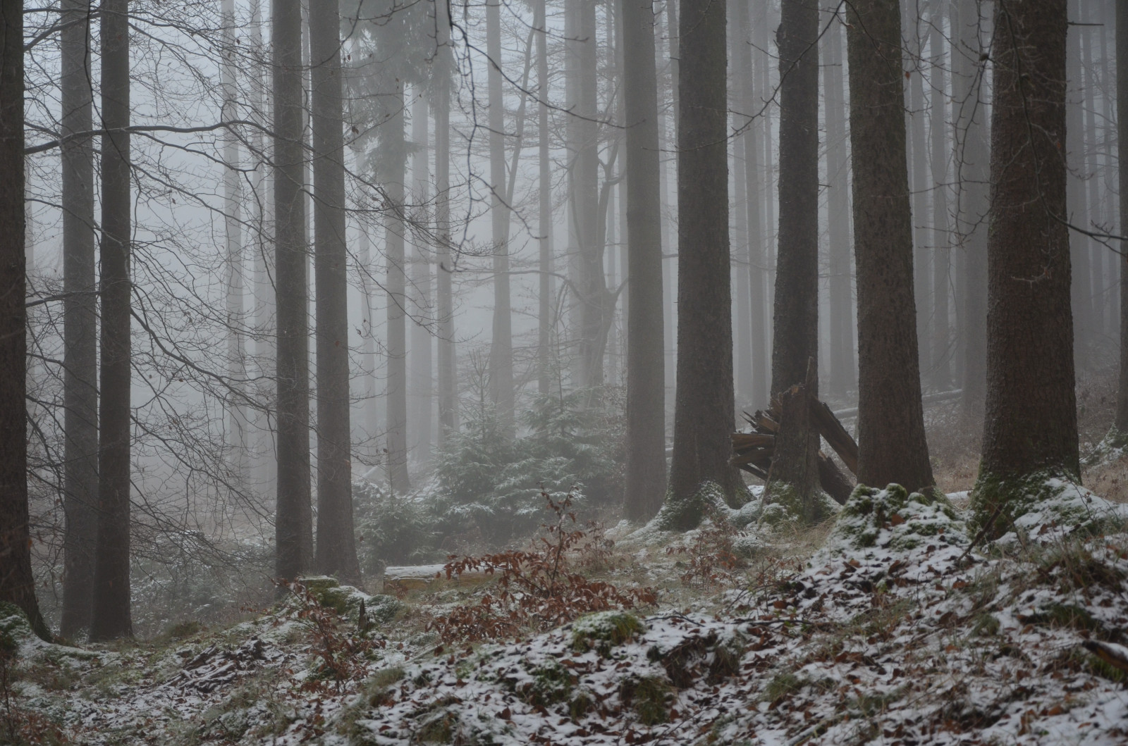 Hình nền : Deutschland, nước Đức, Rheinlandpfalz, Rhinelandpalatinate ...