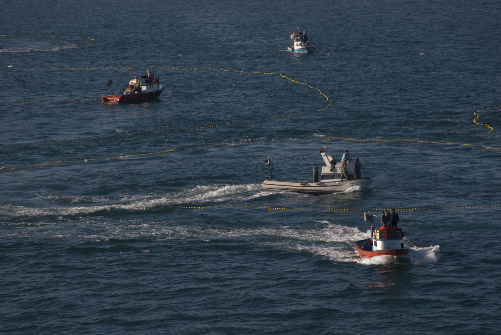 Wallpaper : fish, Turkey, Bosphorus, marmara 5908x3955 - - 757821 - HD ...