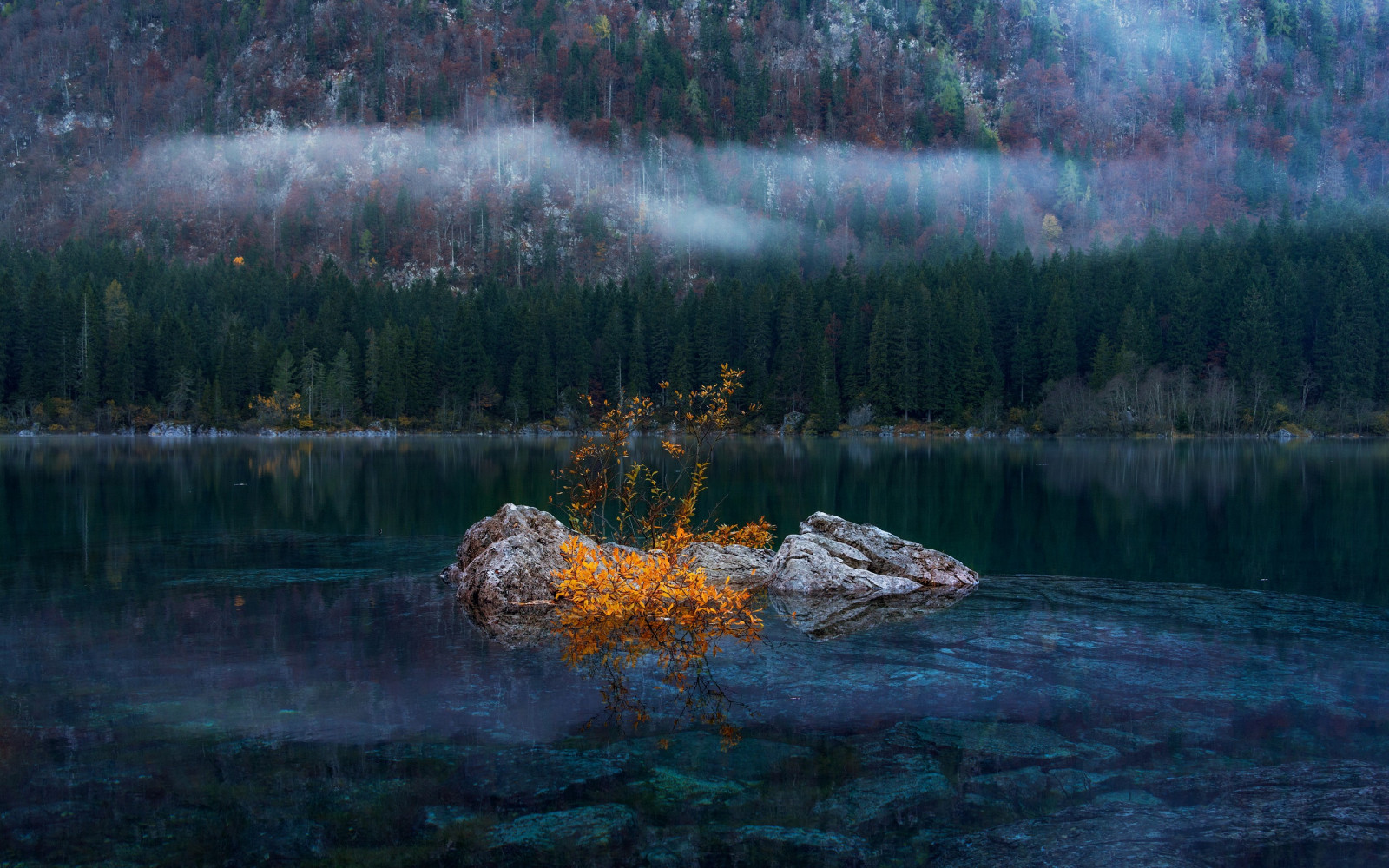 Wallpaper Landscape Lake Reflection Sky Winter Morning Mist