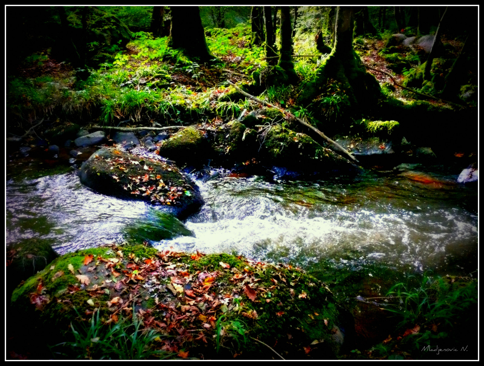 Obrázky na plochu : krajina, les, vodopád, voda, príroda, vonku, mach ...