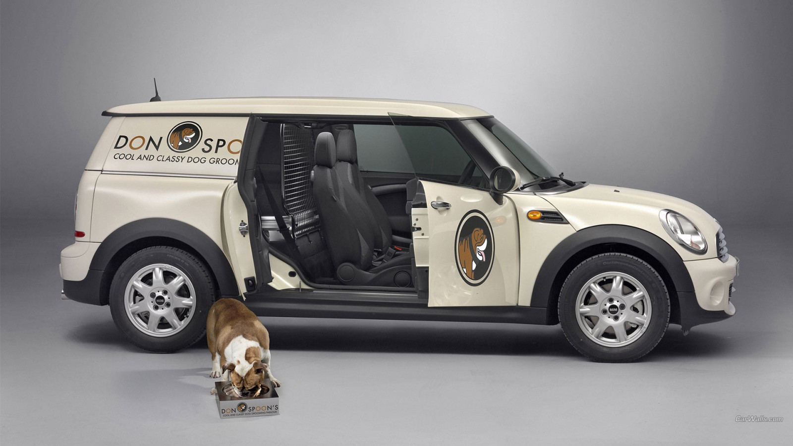 Wallpaper : animals, dog, Mini Cooper, Mini Clubvan, MINI Cooper ...