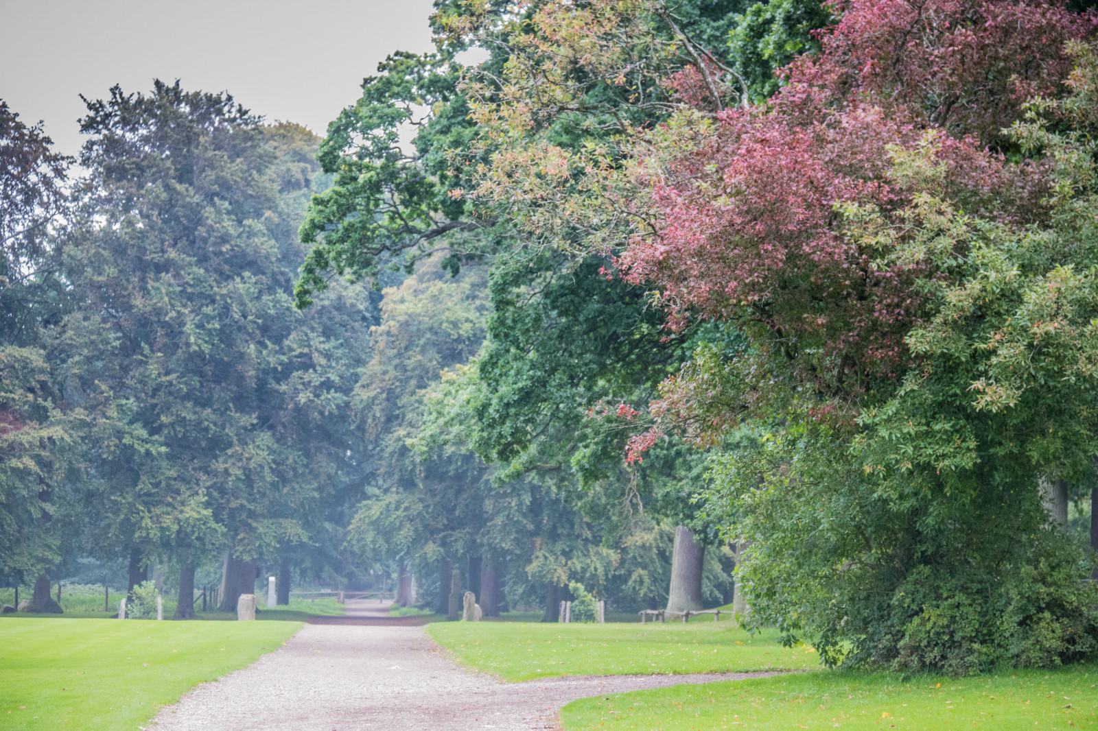 Wallpaper : landscape, garden, nature, grass, park, field, green ...