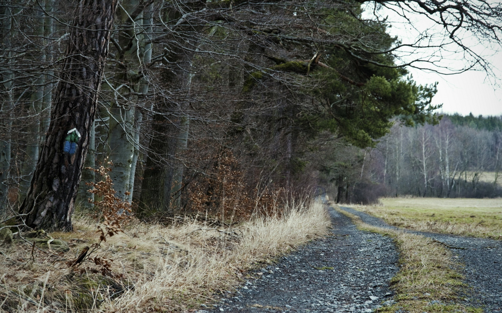 Obrázky na plochu : krajina, les, príroda, sneh, zimné, mráz, rieka ...