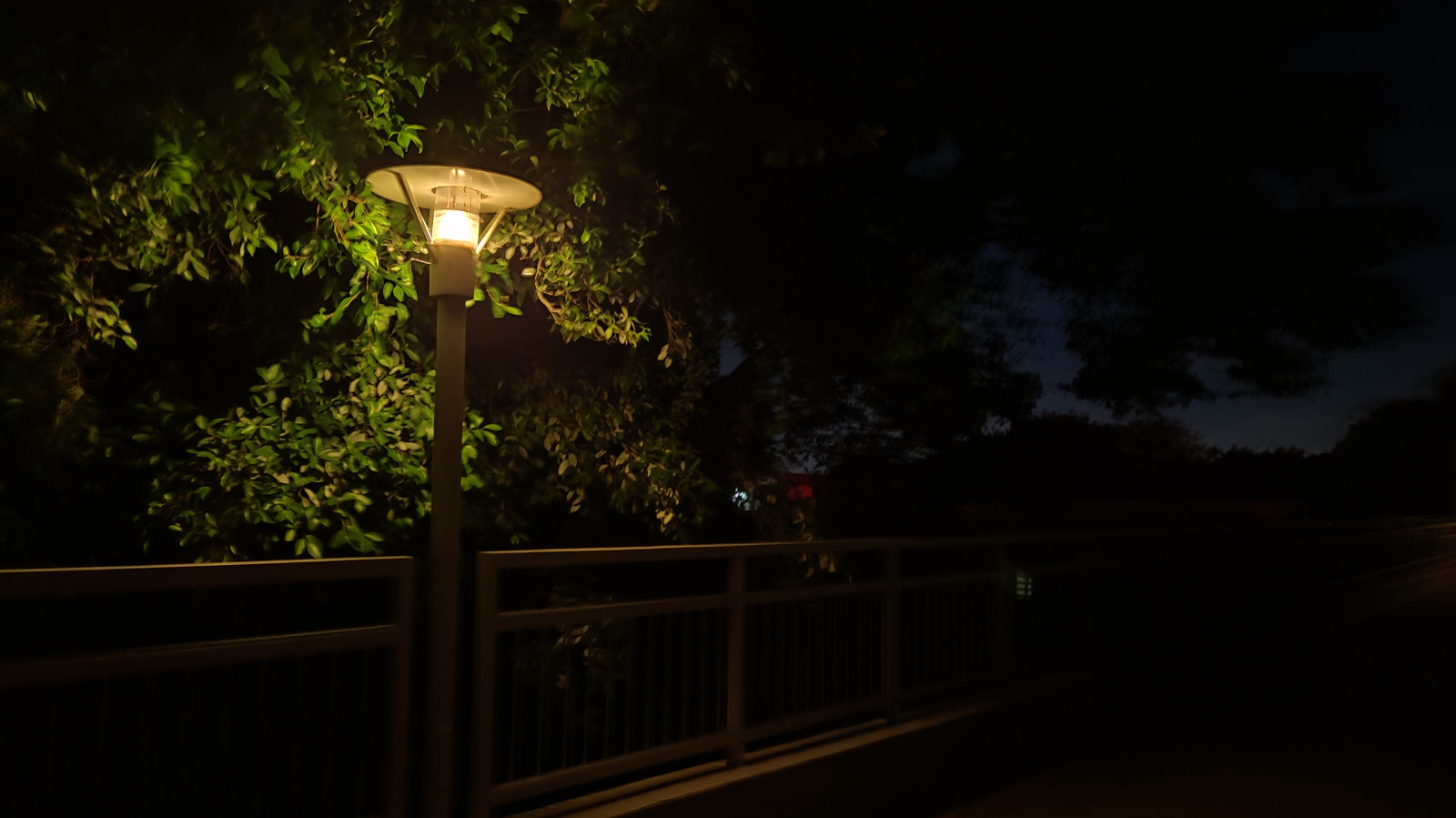 Wallpaper : atmosphere, road surface, lamp, plant, fence, grass ...