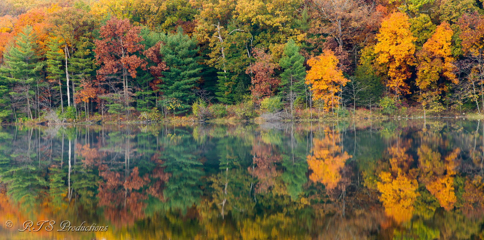 Tapety : park, dřevo, podzim, stromy, Příroda, voda, listy, mraky ...