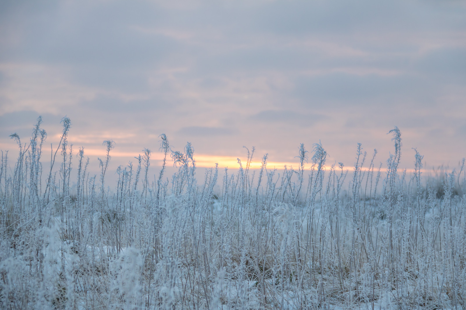 Sfondi : luce del sole, cielo, la neve, inverno, Alba, ghiaccio, freddo ...