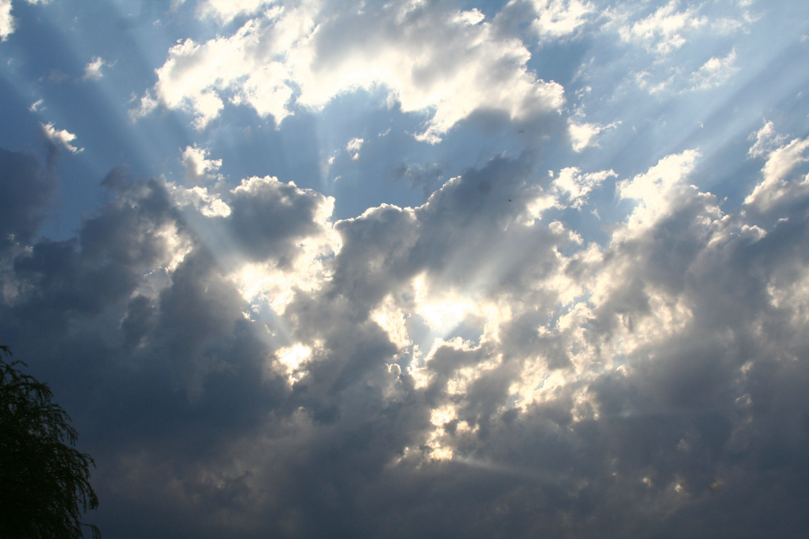 Bakgrundsbilder : solljus, himmel, moln, lugna, kväll, morgon-, Sol ...