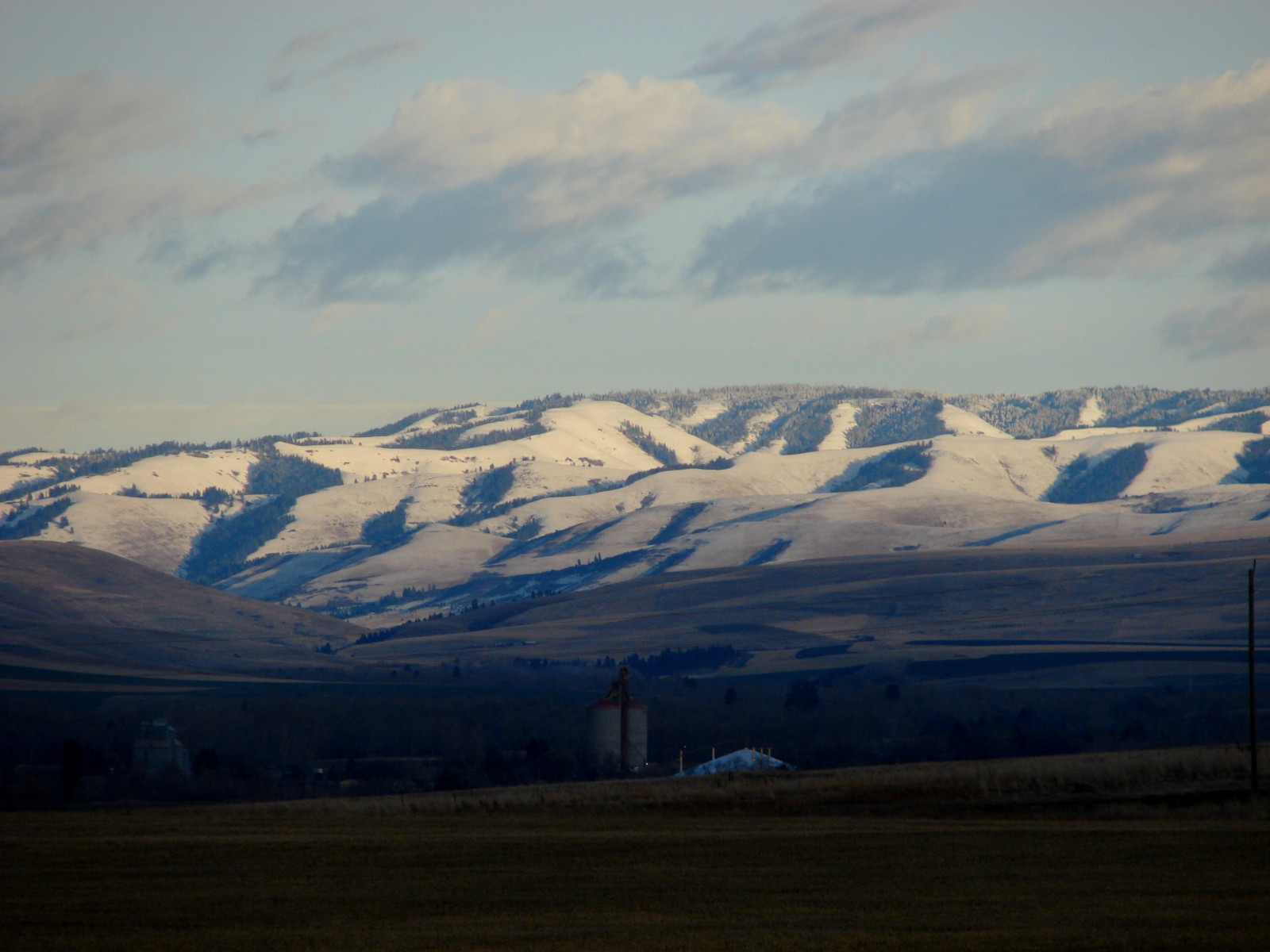 배경 화면 : 오레곤, 옥수수, 블루 마운틴, 동쪽, 부족, 펜들턴, 예약, umatilla, 케이 유스, 동맹의, ctuir ...