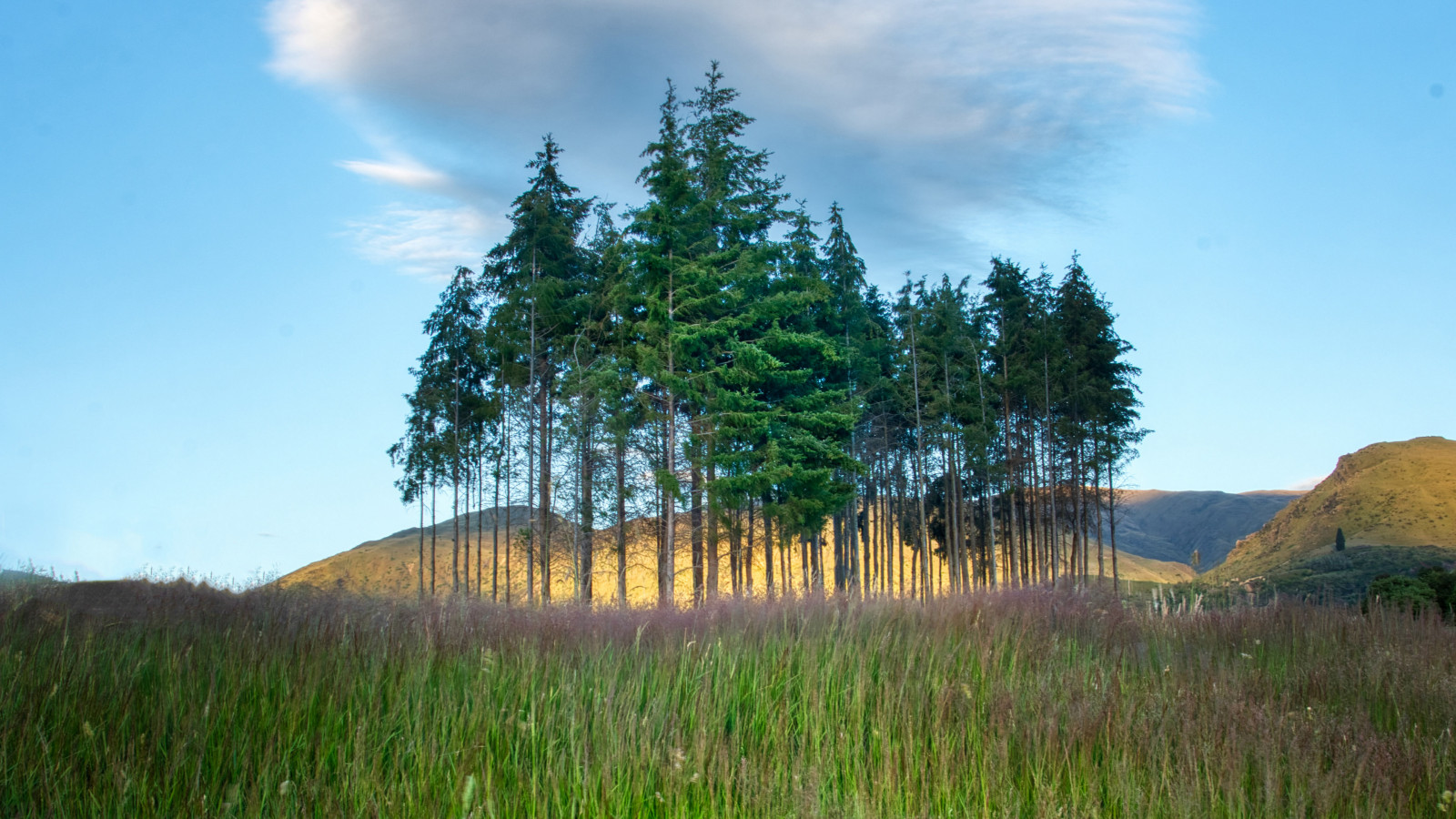 Tapety : krajina, 4k, Nový Zéland 3840x2160 - SpanishGirl - 2194727 ...