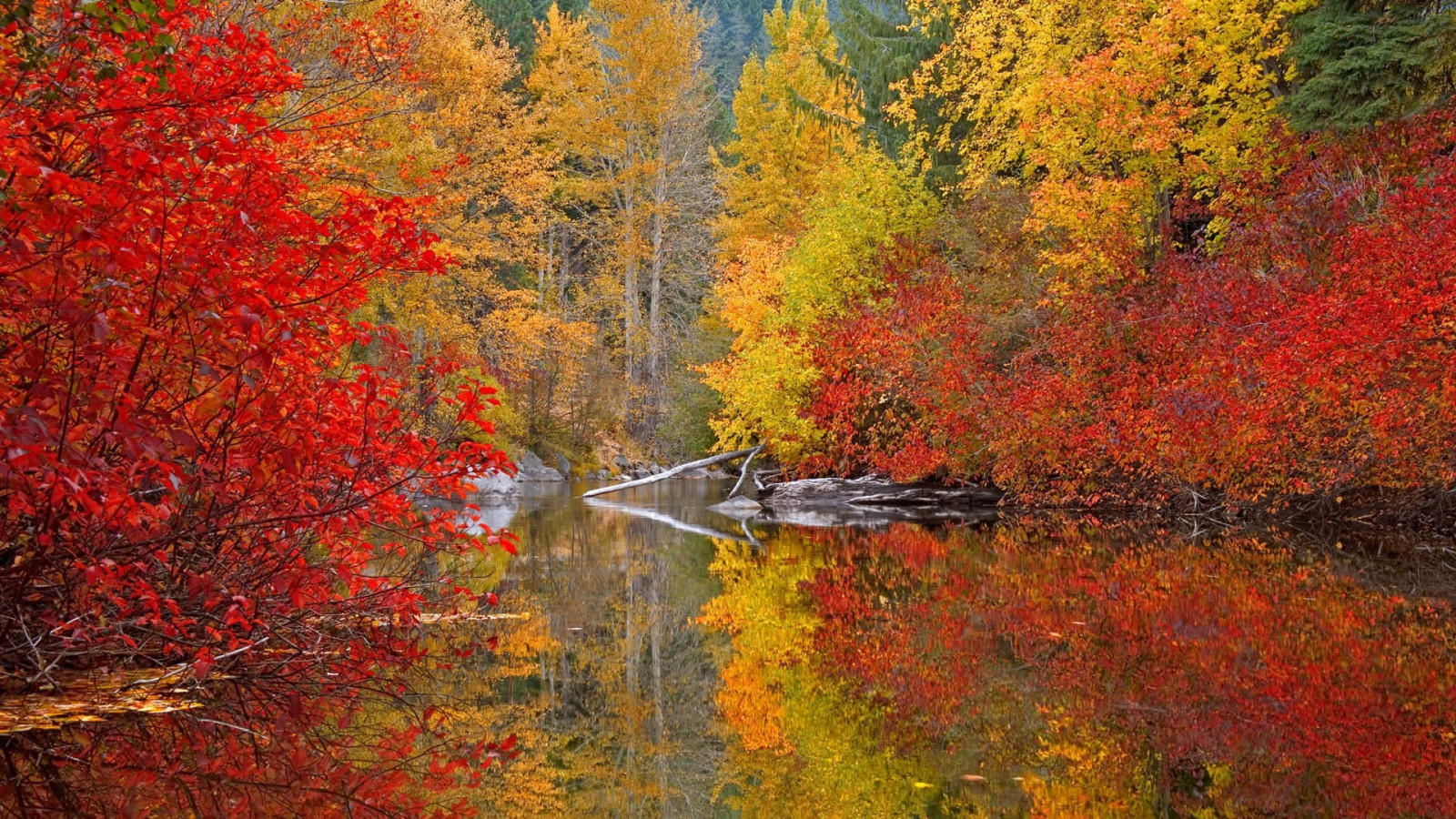 Imagini de fundal : 1920x1080 px, pădure, lac, natură, reflecţie ...