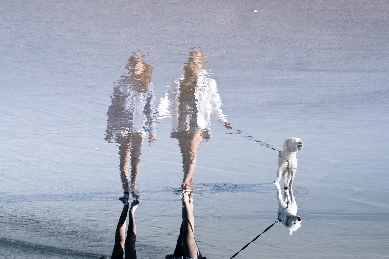 Wallpaper : white, women, sea, water, sand, reflection, snow, winter ...