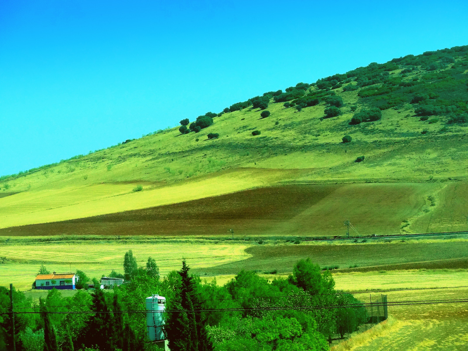 Tapety : lučina, ekosystém, vysočina, pastvina, zelená, prostý, kopec ...