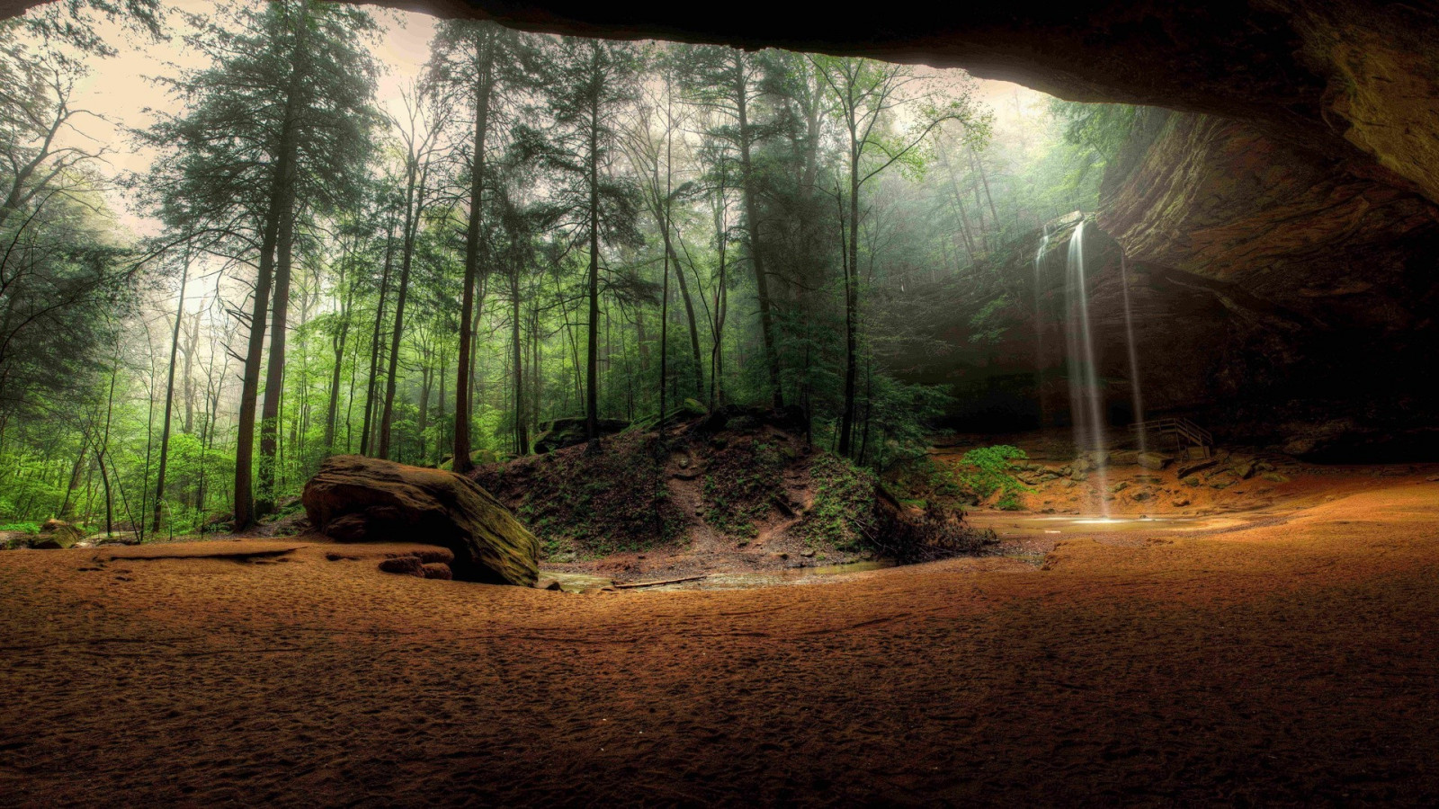 Imagini de fundal : lumina soarelui, natură, pustie, junglă, pădure ...