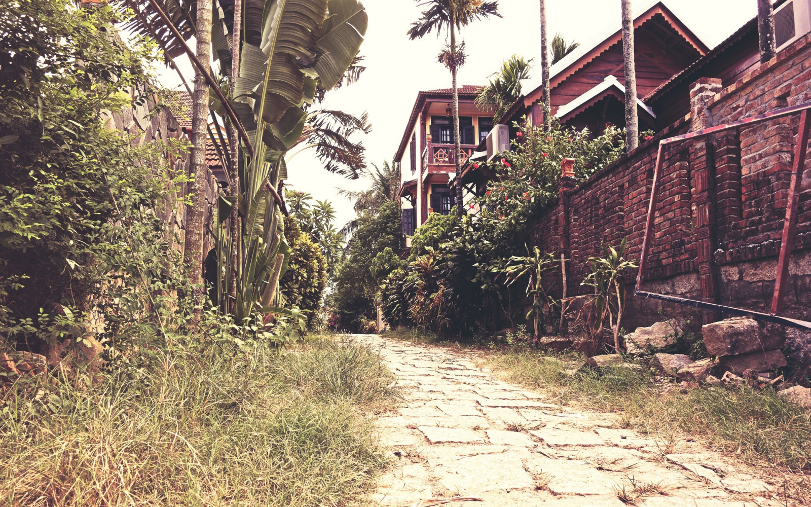 Wallpaper : pohon, alam, tanaman, rumah, Desa, path, Brazil, jejak ...
