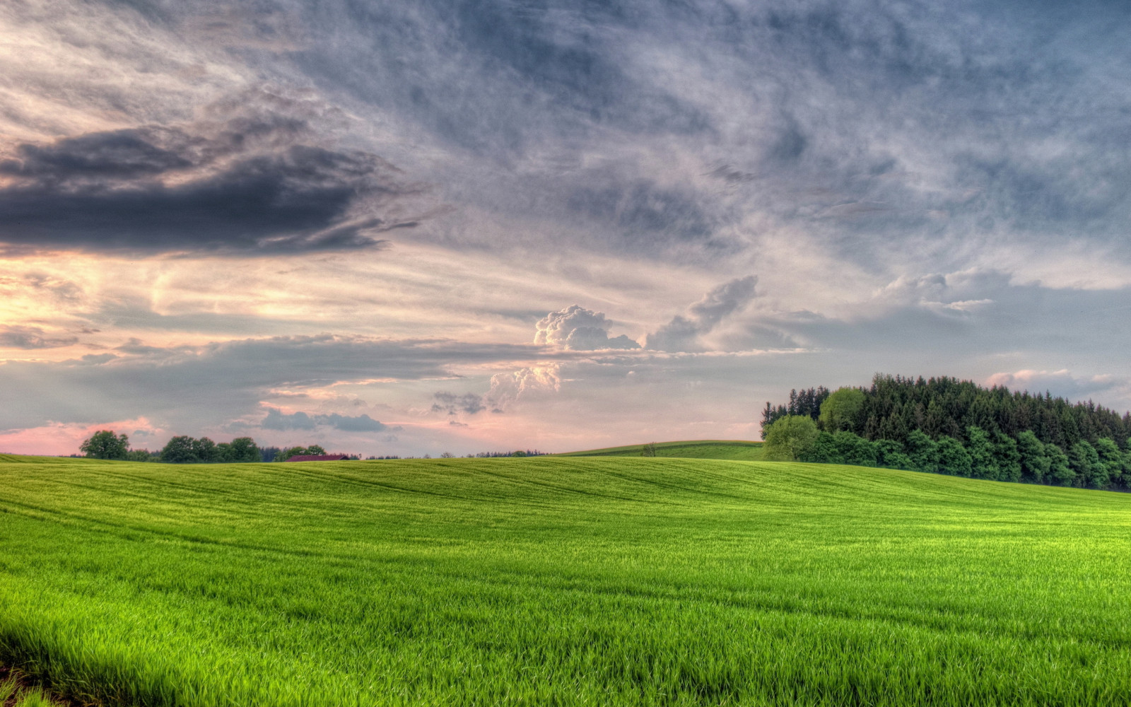 Sfondi : prato, nuvole, cielo, volume, nuvoloso, legna, campo, breadth ...