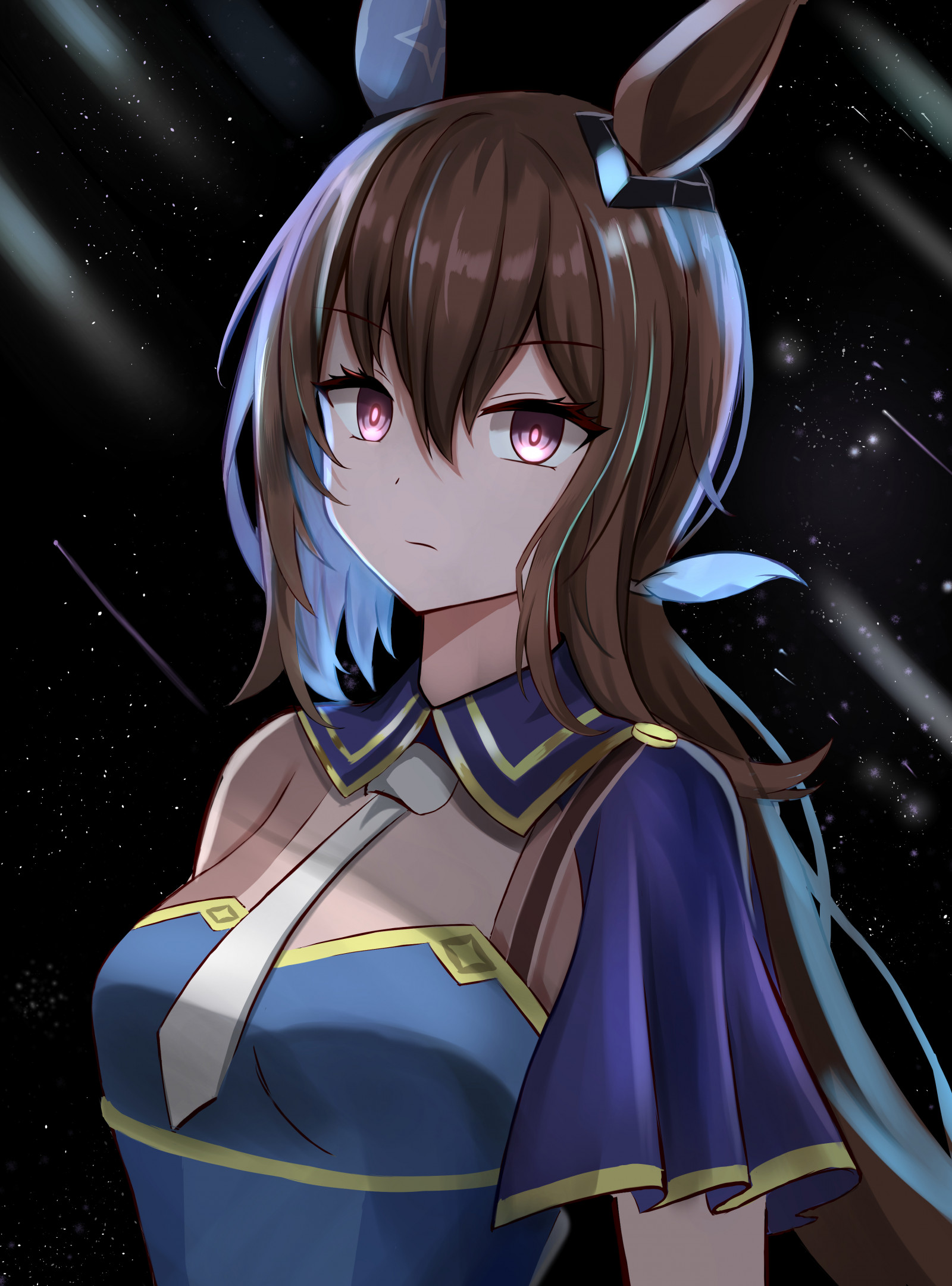 壁纸 : 动漫女孩, Uma Musume Pretty Derby, umamimi, Admire Vega Uma Musume, 长发 ...