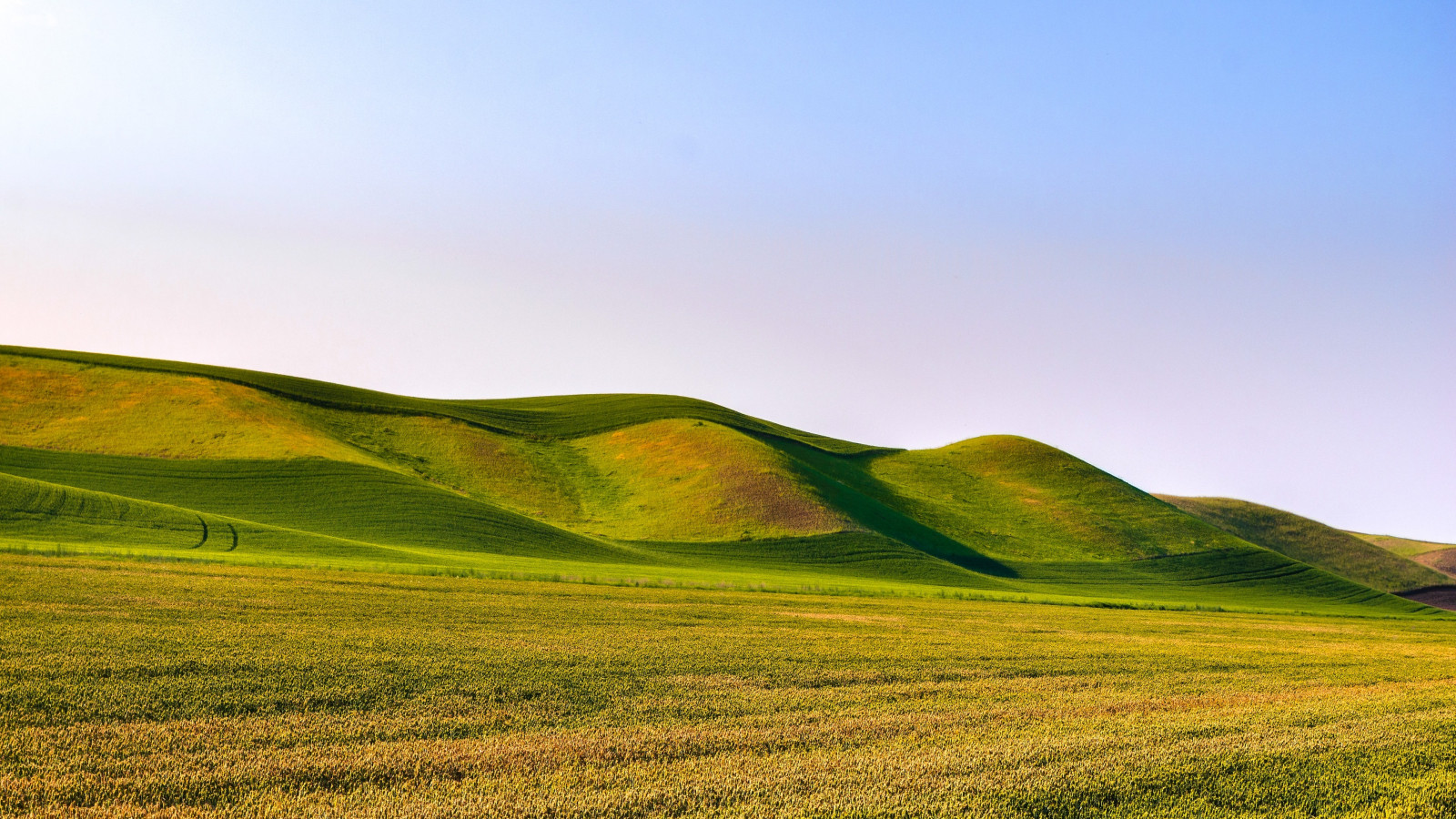 Wallpaper : sunlight, landscape, hill, nature, sky, field, green ...