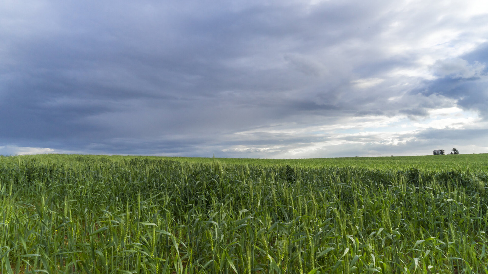 Bakgrundsbilder : moln, himmel, Natural landscape, People in nature ...