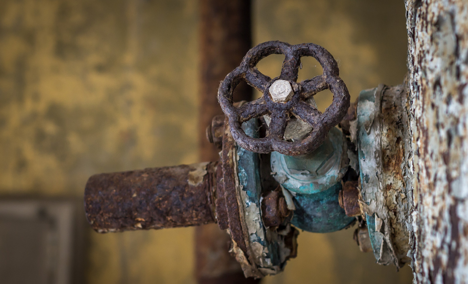 Wallpaper : urban, flower, abandoned, Canon, 50mm, rust, pipe, rusty ...