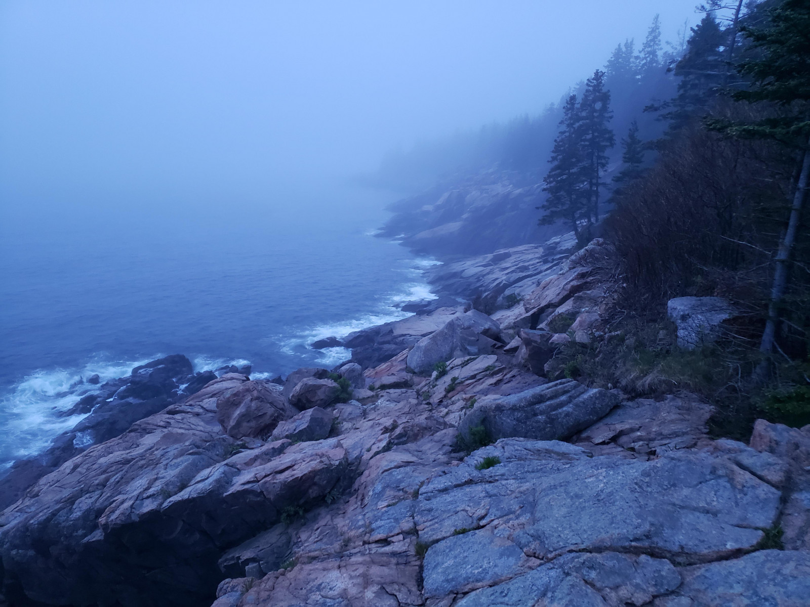 Wallpaper : mist, rocks, forest, water 4032x3024 - jinhang - 1686989 ...