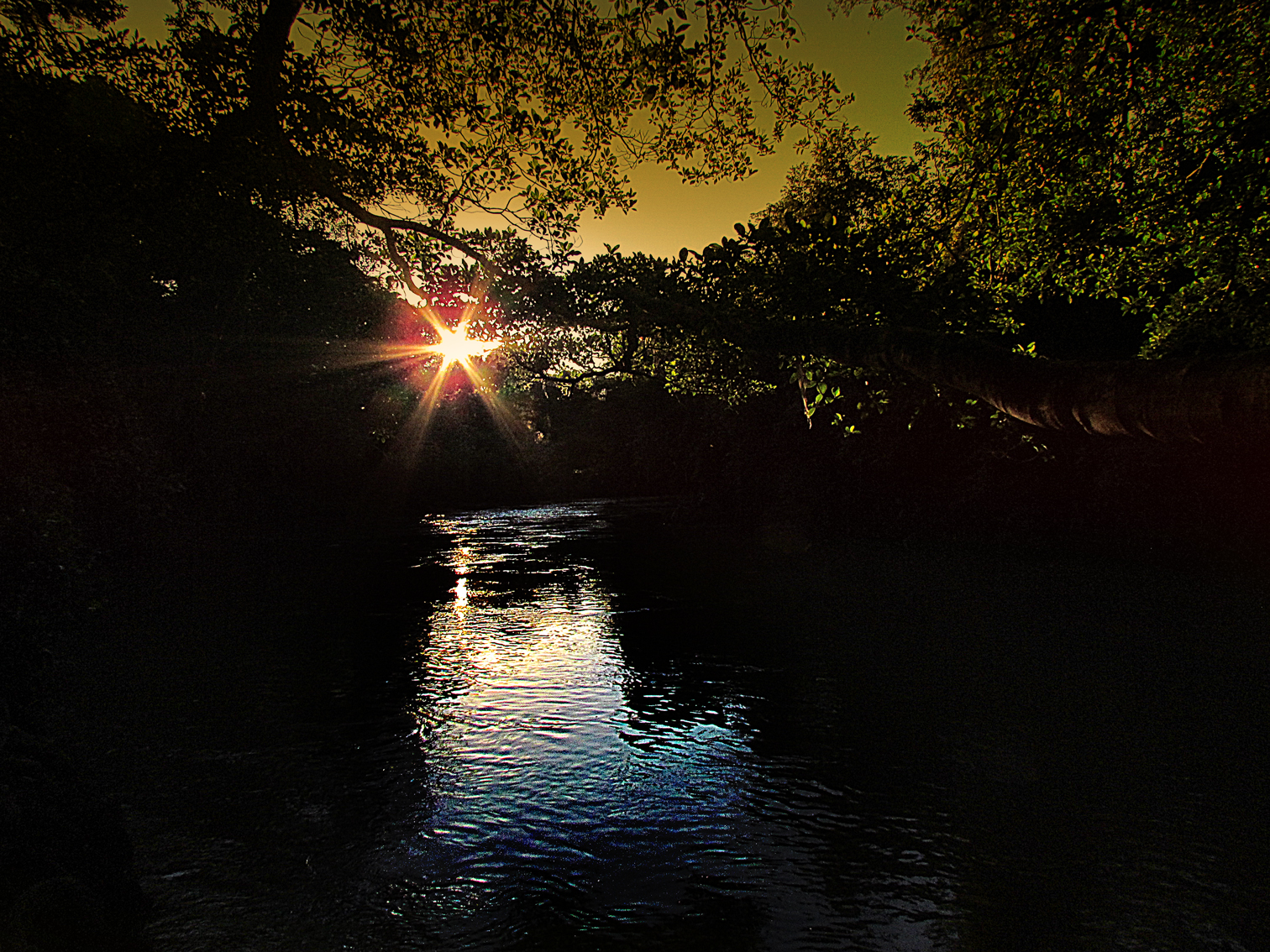 วอลเปเปอร์ : บราซิล, ปลา, ธรรมชาติ, Brasil, Canon, natureza, Ponte ...