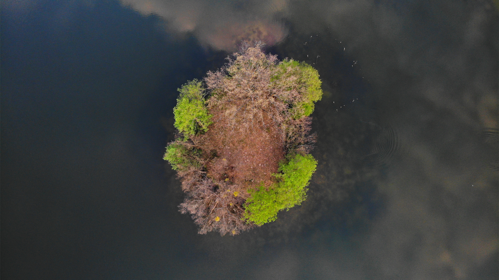 Wallpaper : danau, pohon, pulau, Desa 1920x1080 - Francazo - 1866993 ...