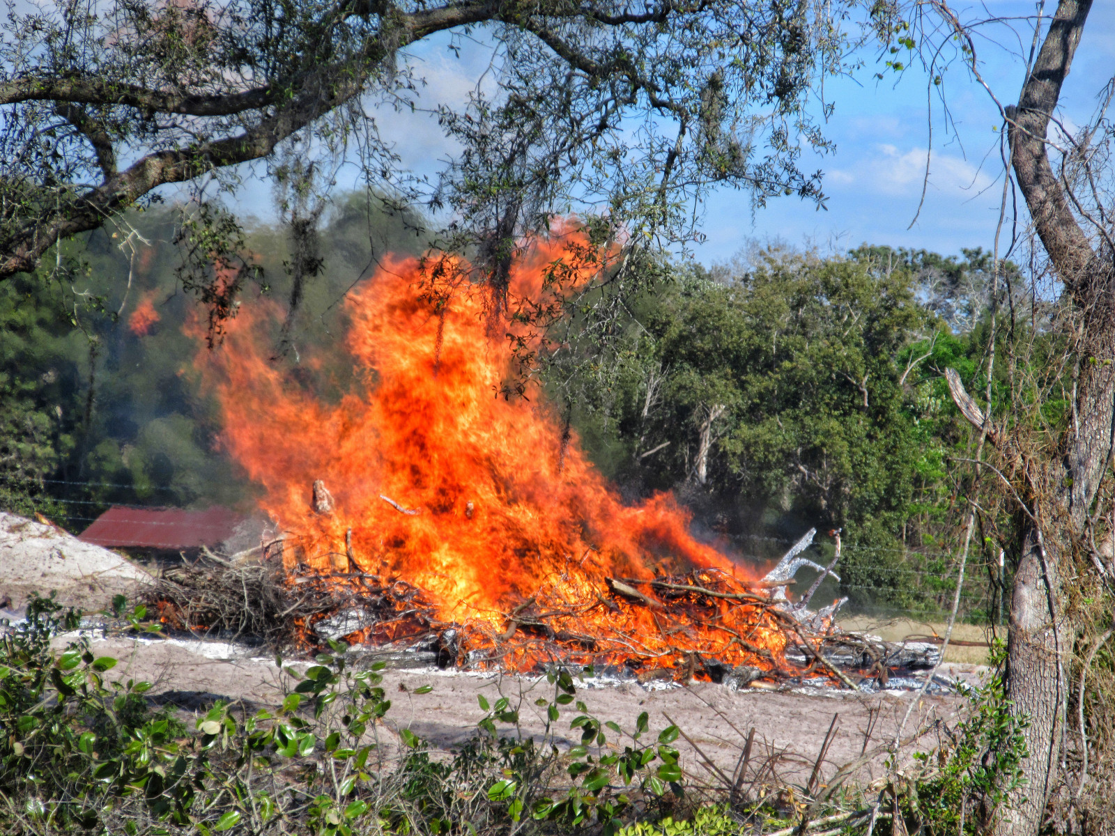 Wallpaper : framed, fireshape, rabbit, fire 5184x3888 - - 753527 - HD ...