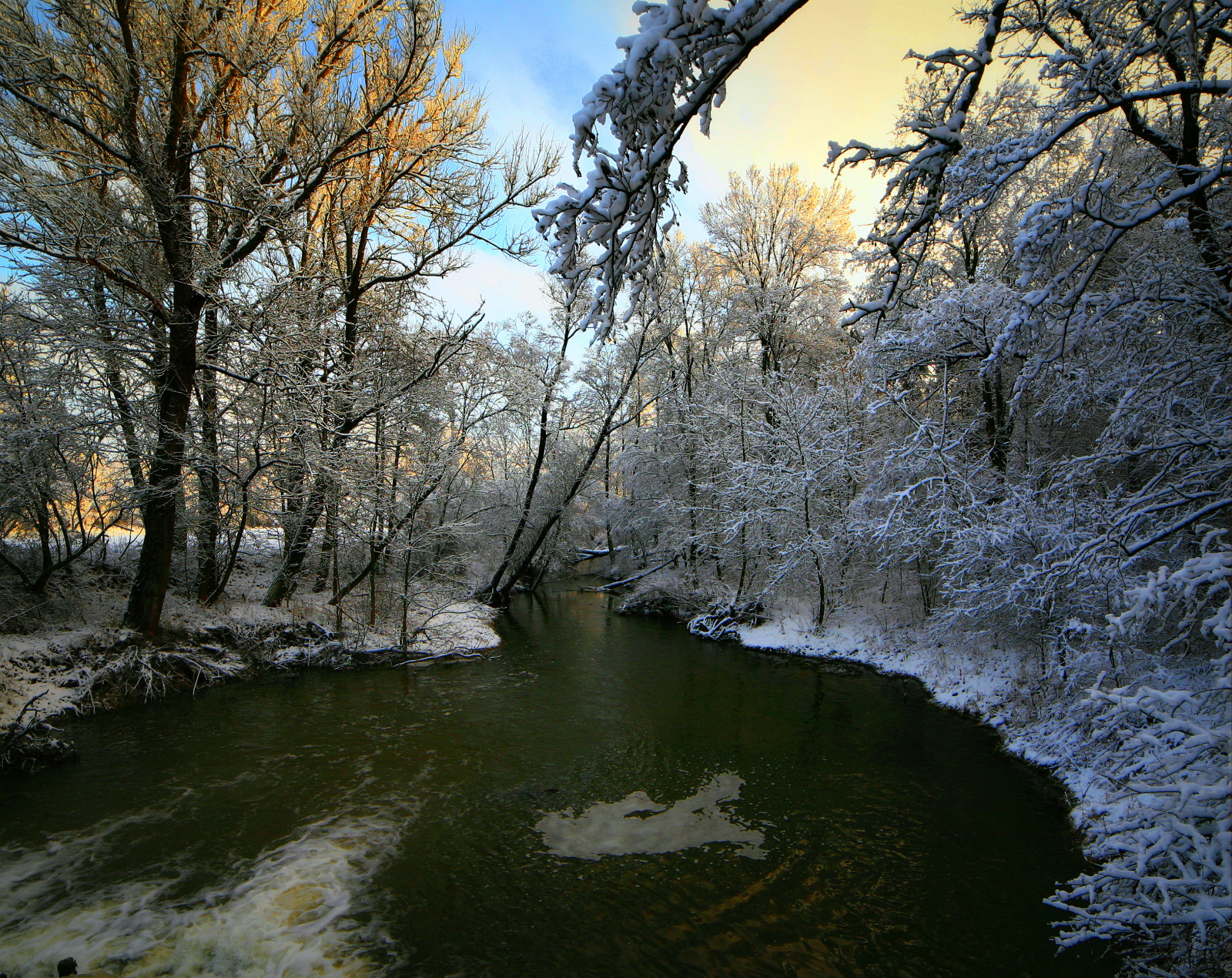 Wallpaper : trees, winter, snow, tree, Canon, river, landscape, scenery ...
