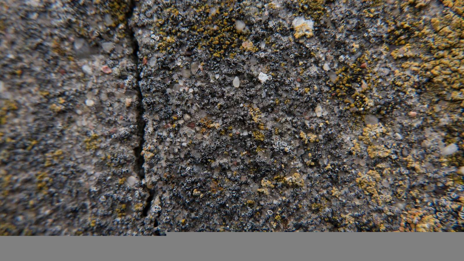 Tapety : Skála, mech, textura, asfalt, beton, rozdělit, list, materiál ...