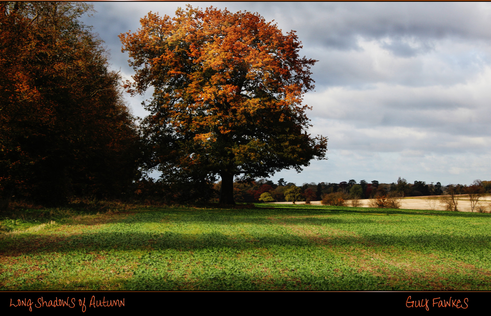 Wallpaper : autumn, light, tree, leaves, countryside, ngc, npc ...