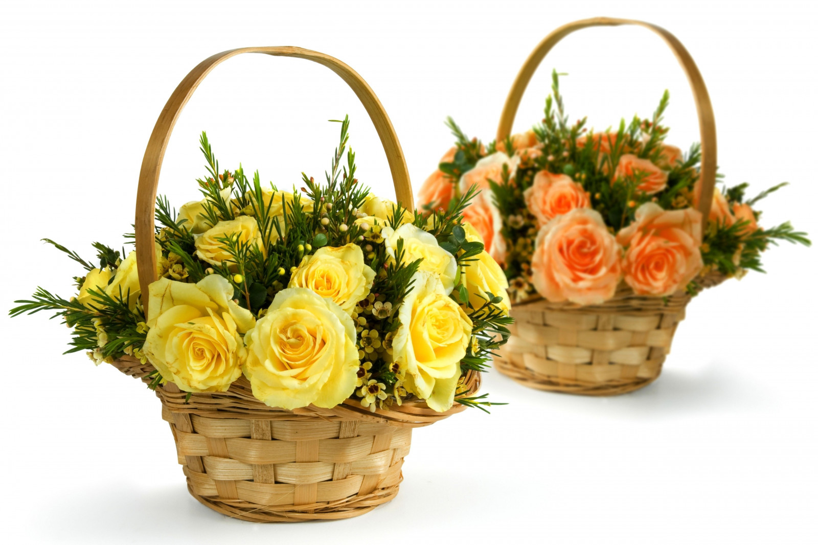 Wallpaper : roses, yellow, orange, tea tree, baskets, composition ...